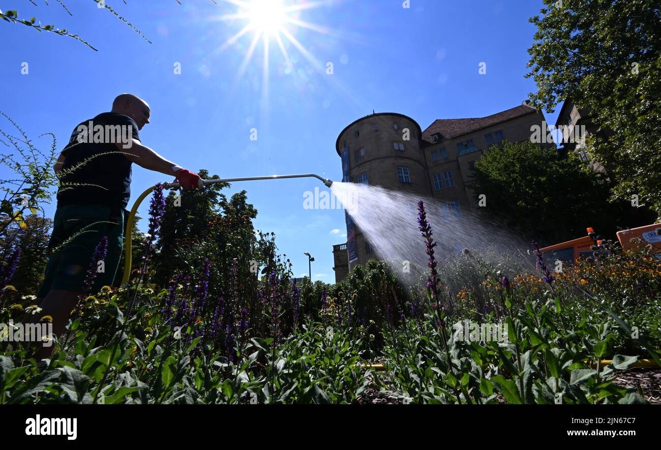 Stuttgart, Germany. 09th Aug, 2022. A city employee waters flowers in ...