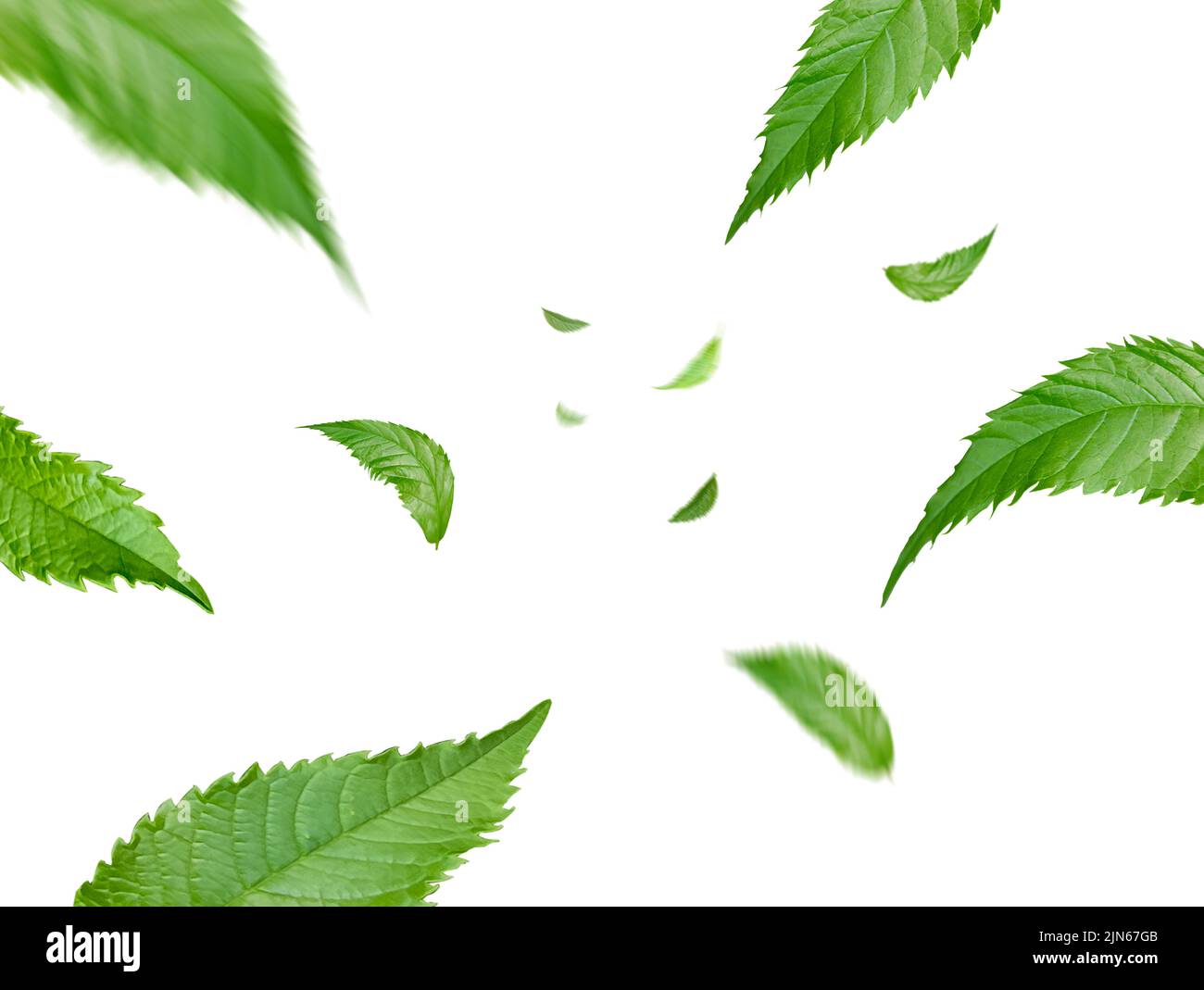 Green Floating Leaves Flying Leaves Green Leaf Dancing, Air Purifier ...