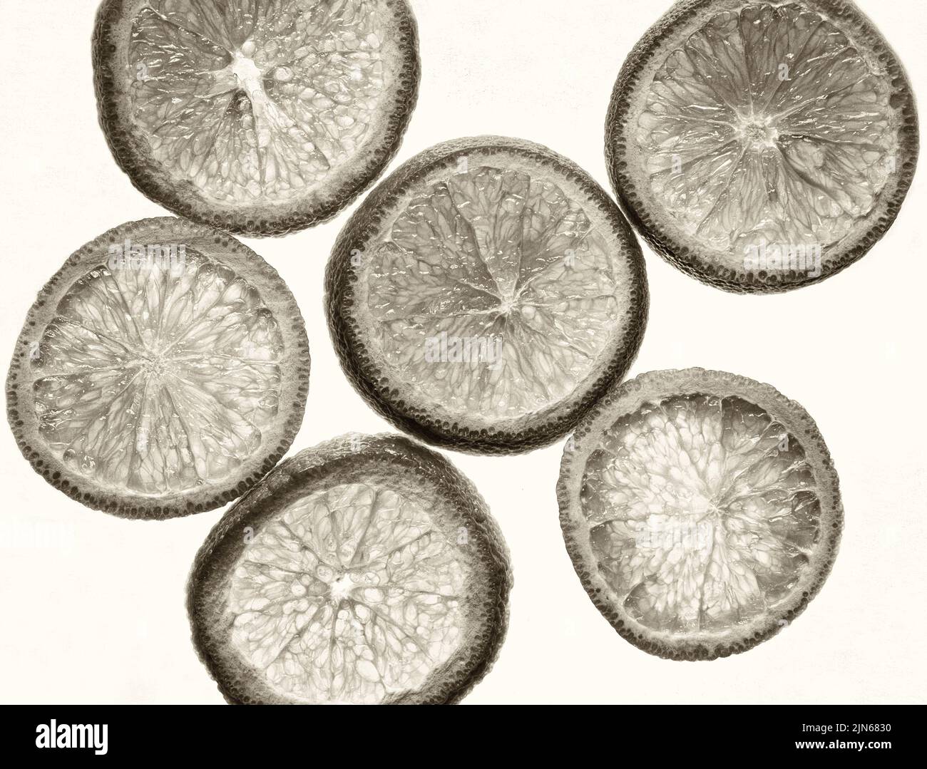 Photo oranges,Orange, Chinese apple, the fruit of the orange tree ...