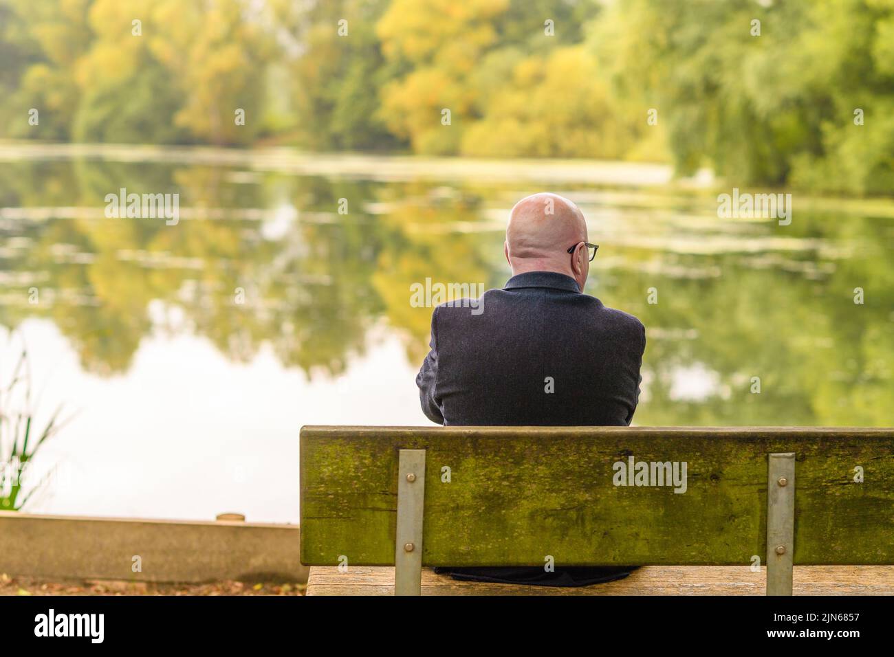 A back view of bald senior Caucasian man with glasses sitting on a ...