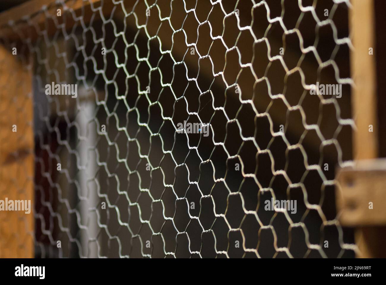A closeup of rabitz grid fence cover Stock Photo - Alamy
