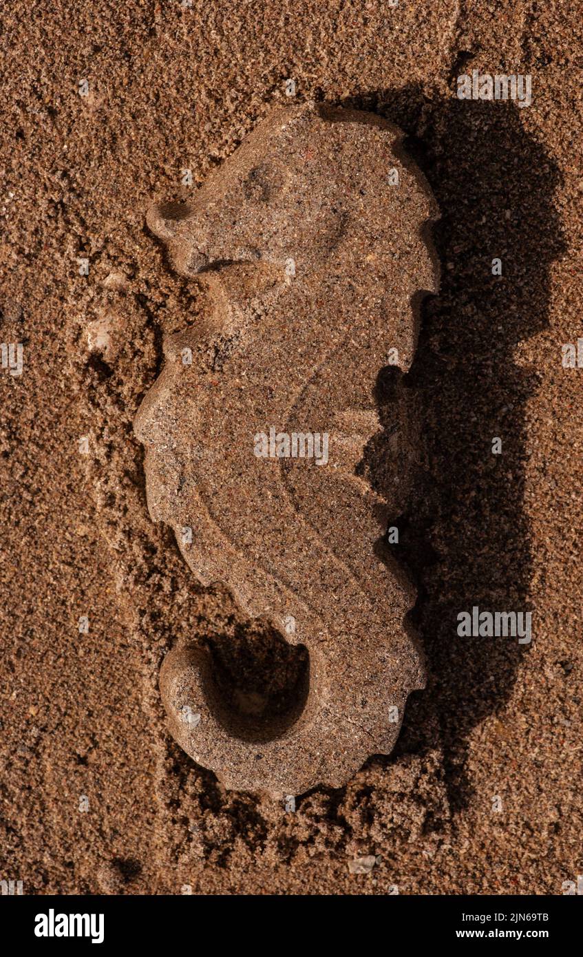 A vertical closeup of a seahorse shape on brown sand Stock Photo - Alamy