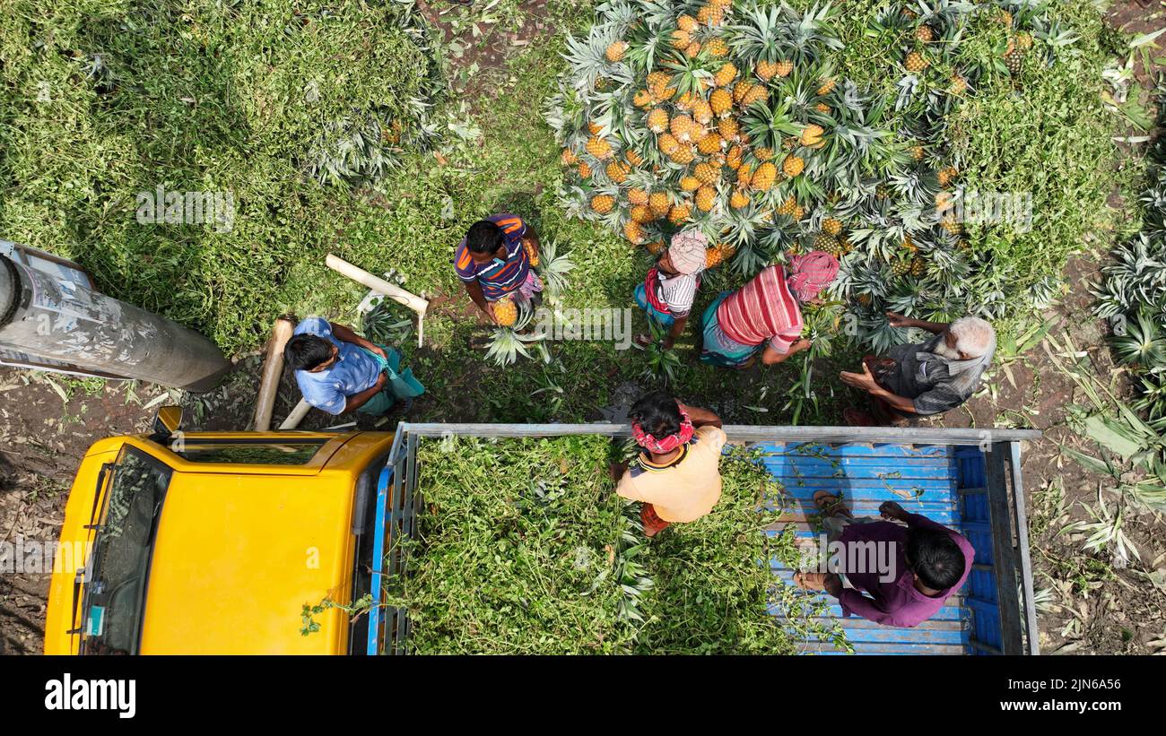 Bangladesh tangail village hi-res stock photography and images - Alamy