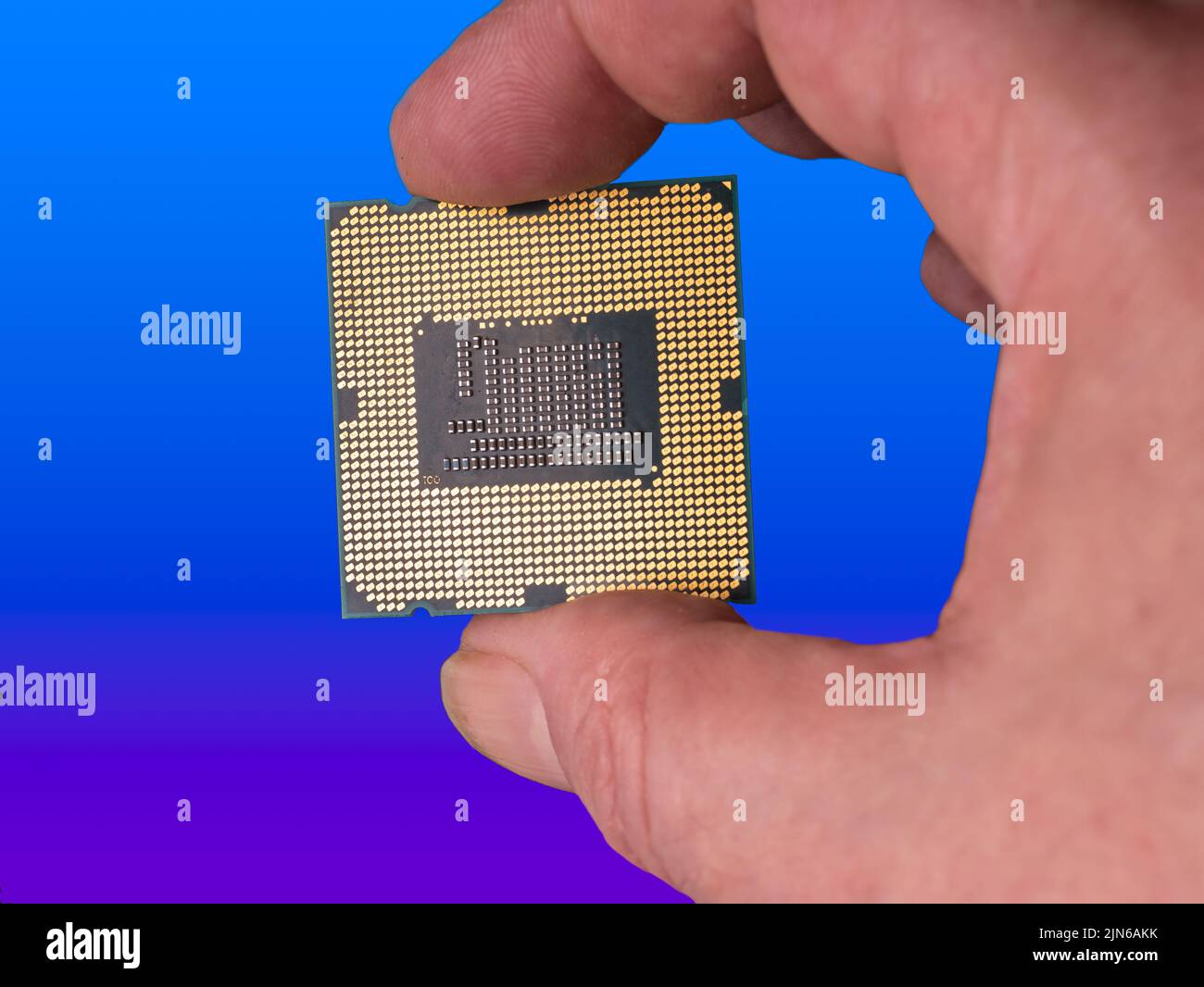 Human Hand Holding A Computer Chip / CPU Stock Photo - Alamy