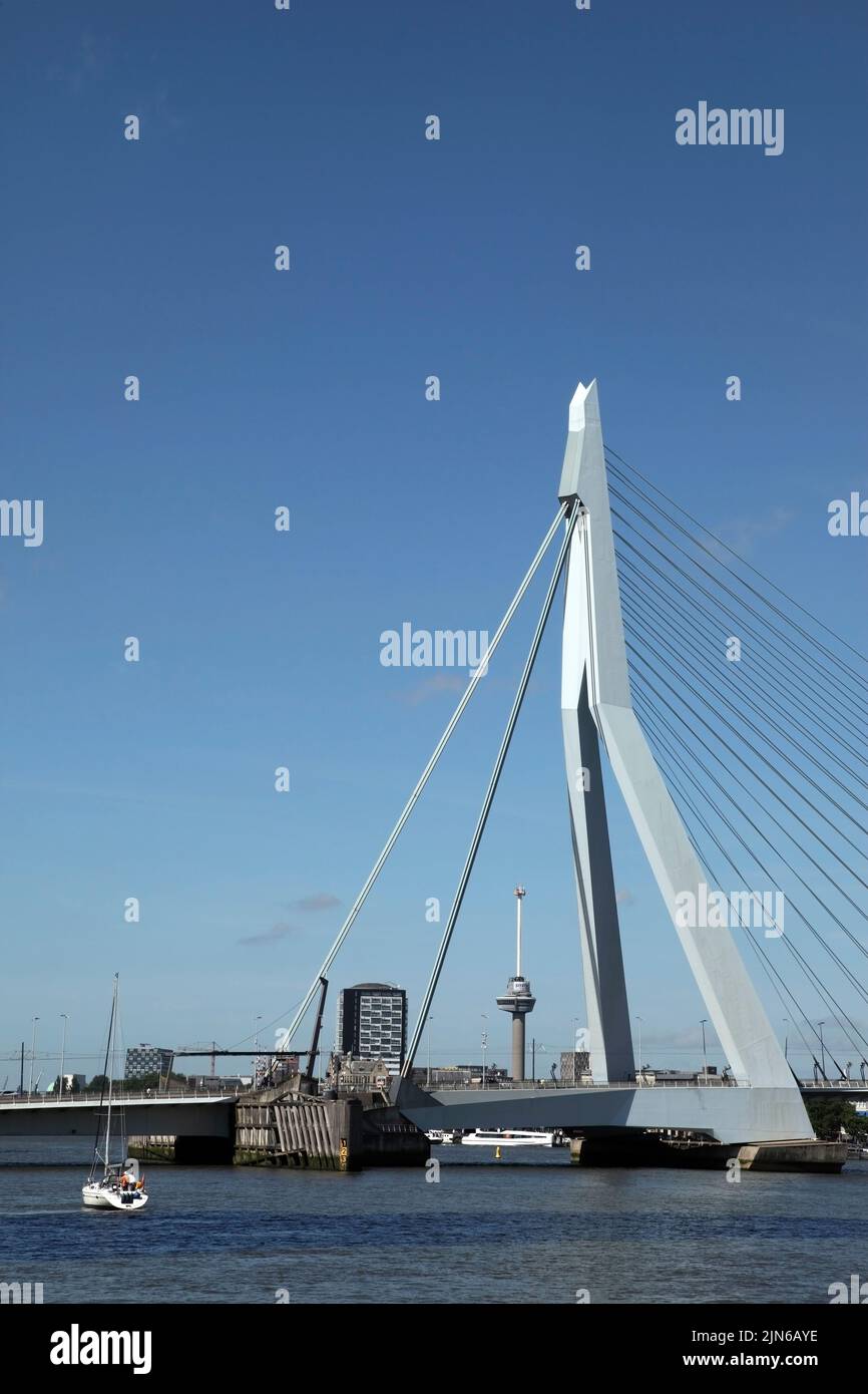 The Erasmusbrug or Erasmus Bridge (1996), Rotterdam, Netherlands Stock ...