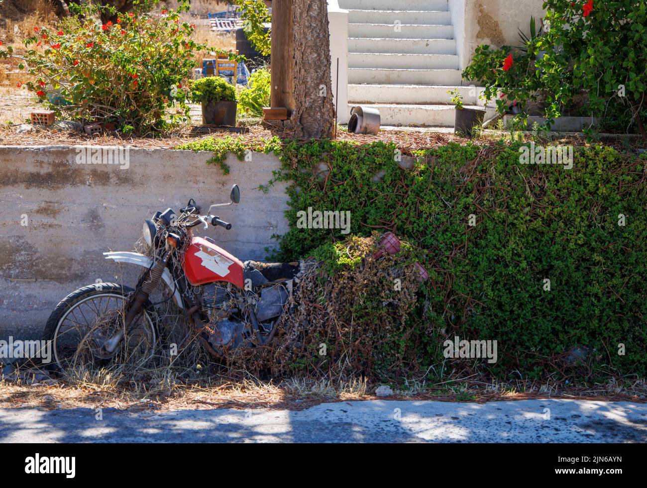 Foliage and plants grow over a disused motorbike making it become part ...