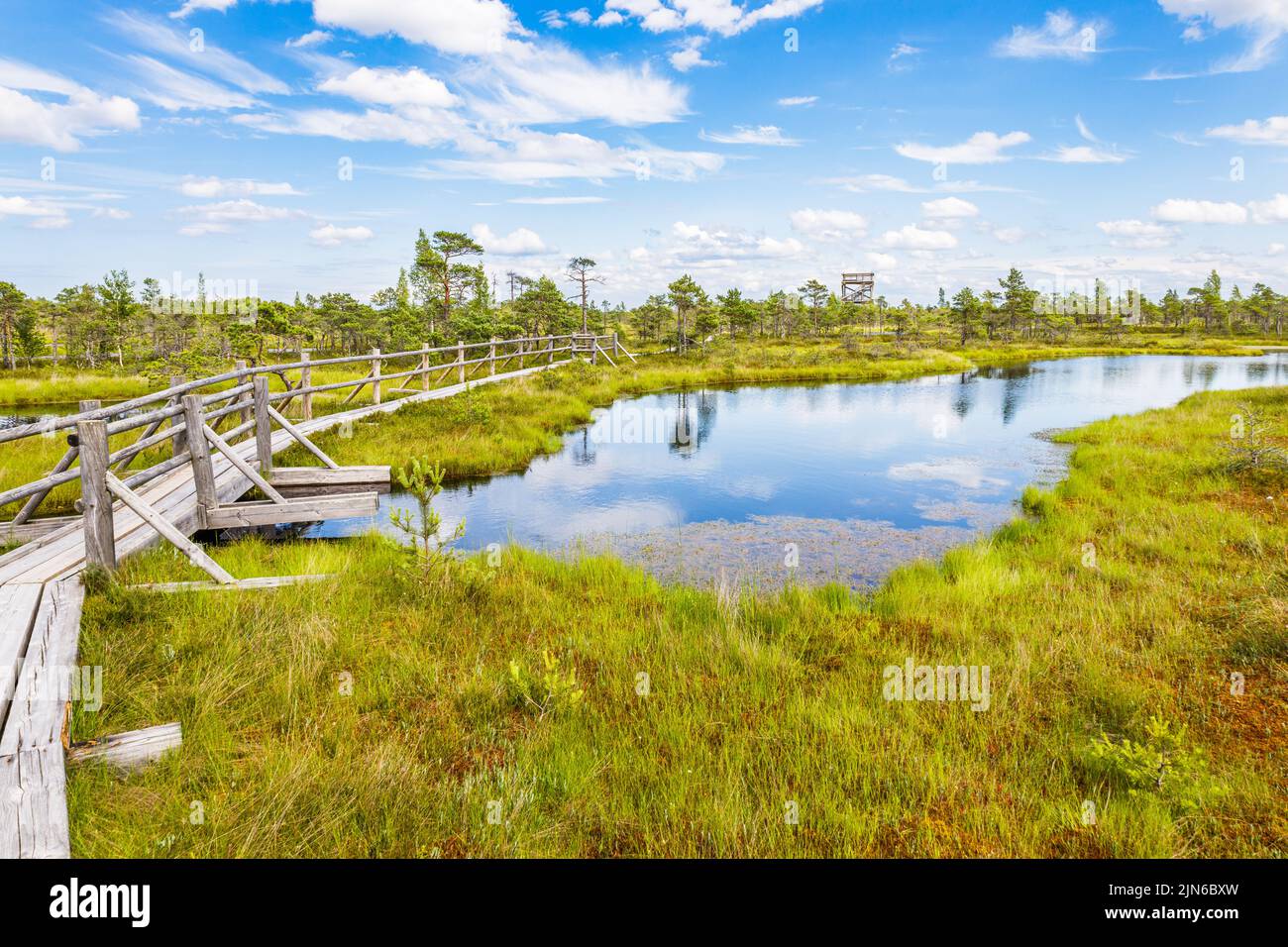 Great Kemeri Bog swamp at the Kemeri National Park in Latvia Stock ...
