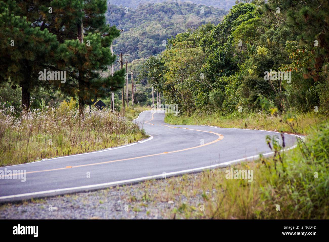 brazilian road empty Stock Photo - Alamy