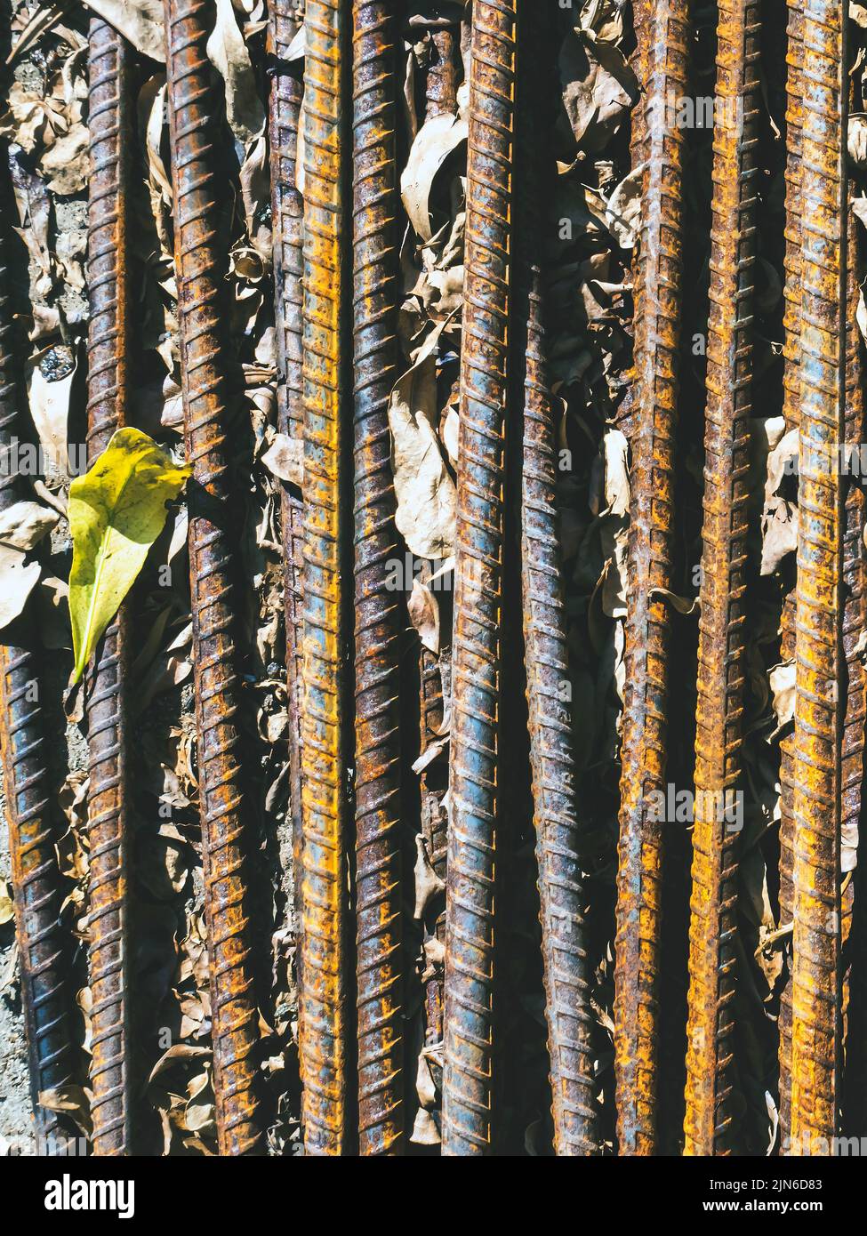 Top view old rusted iron bars and dry leaves on floor. Close up to ...
