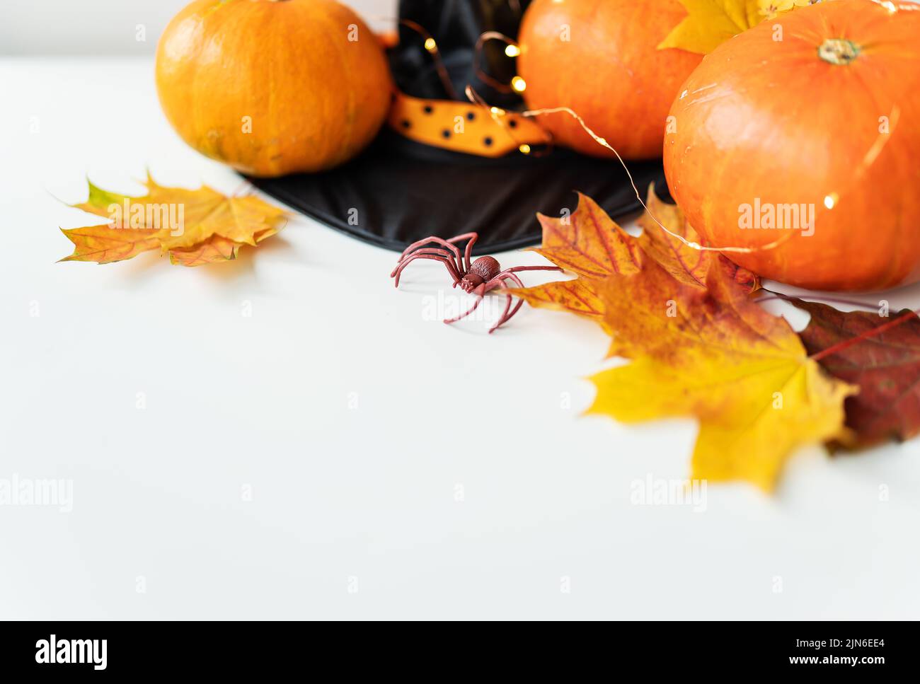 Autumn leaves with pumpkin border at the bottom, black hat, beautiful autumn background ...