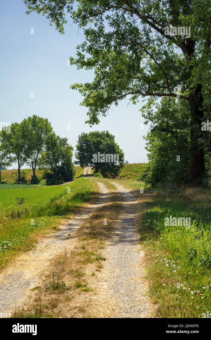 Rural landscape near Zibello, in Parma province, Emilia-Romagna, Italy ...