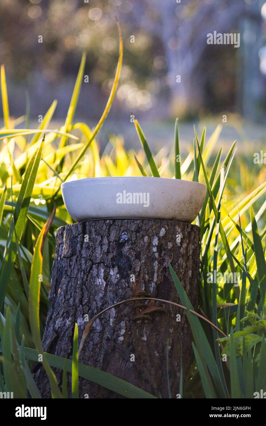 White clay hi-res stock photography and images - Alamy