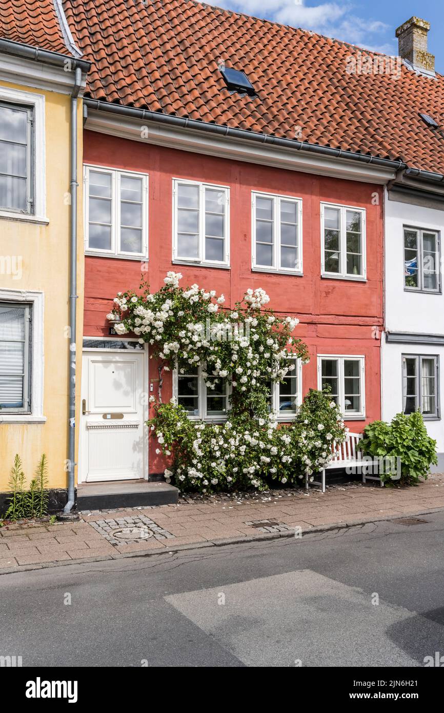 cityscape with red traditional picturesque house and white rose flowers ...