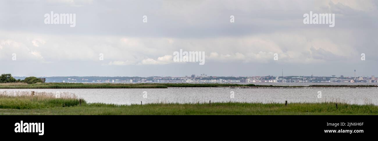 landscape with green shore of Oresund sea with Swedish shore in ...