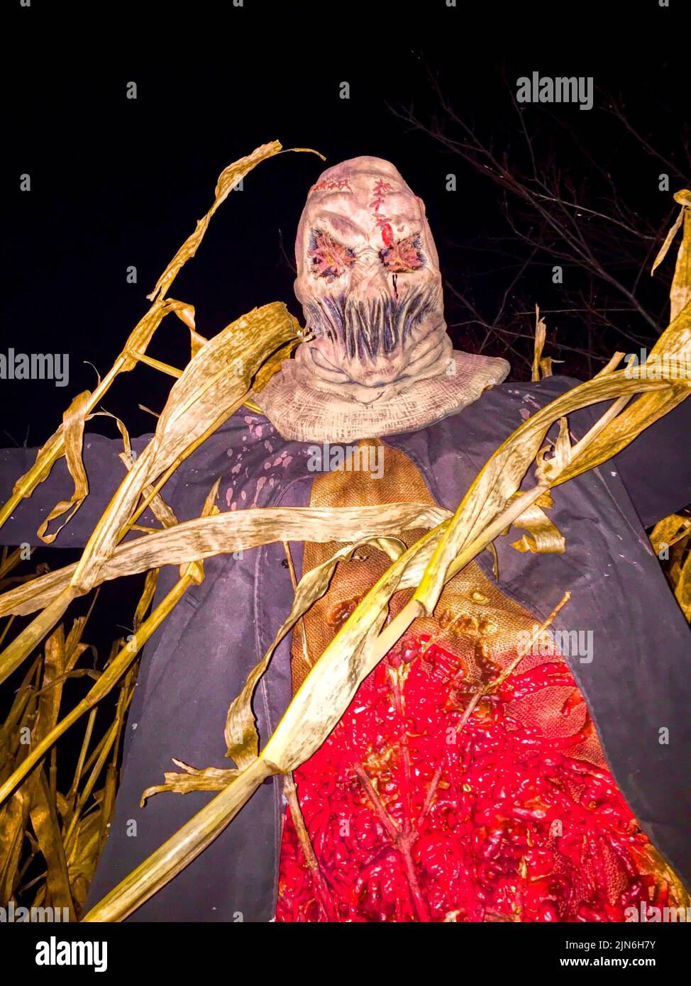 A vertical shot of a scary scarecrow on a Halloween night Stock Photo ...