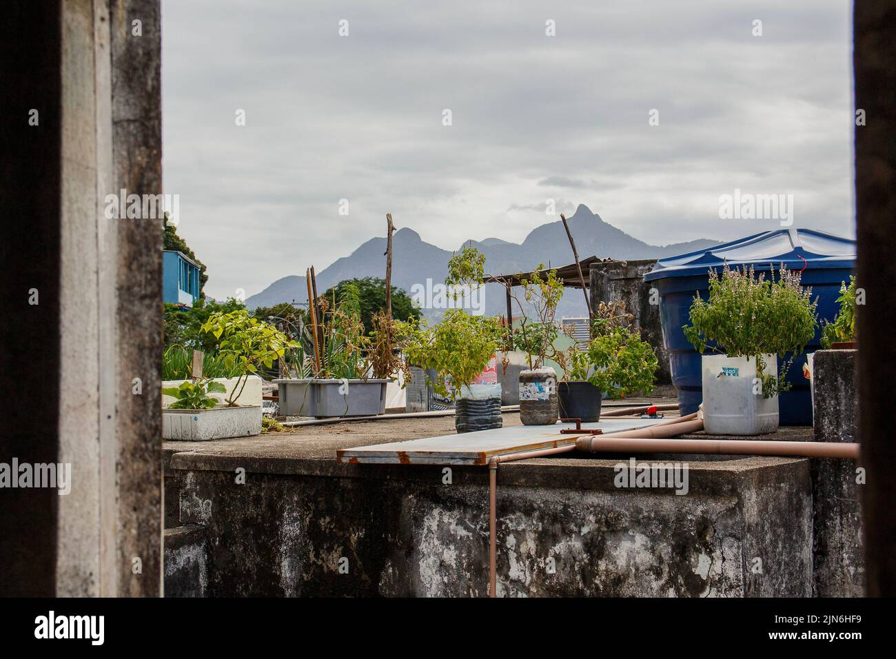 Details of pinto hill in Rio de Janeiro - brazil Stock Photo - Alamy