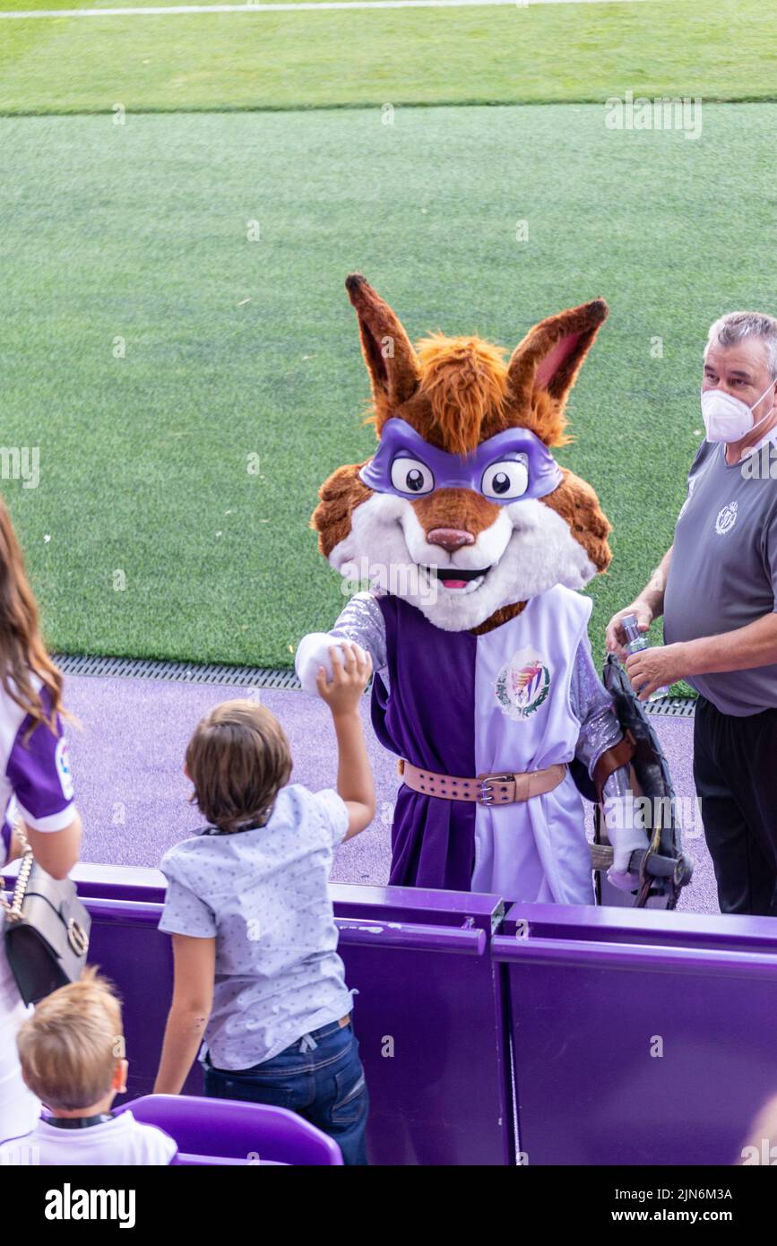 Pepe Zorrillo mascot of the Real Valladolid Spanish soccer team Stock ...
