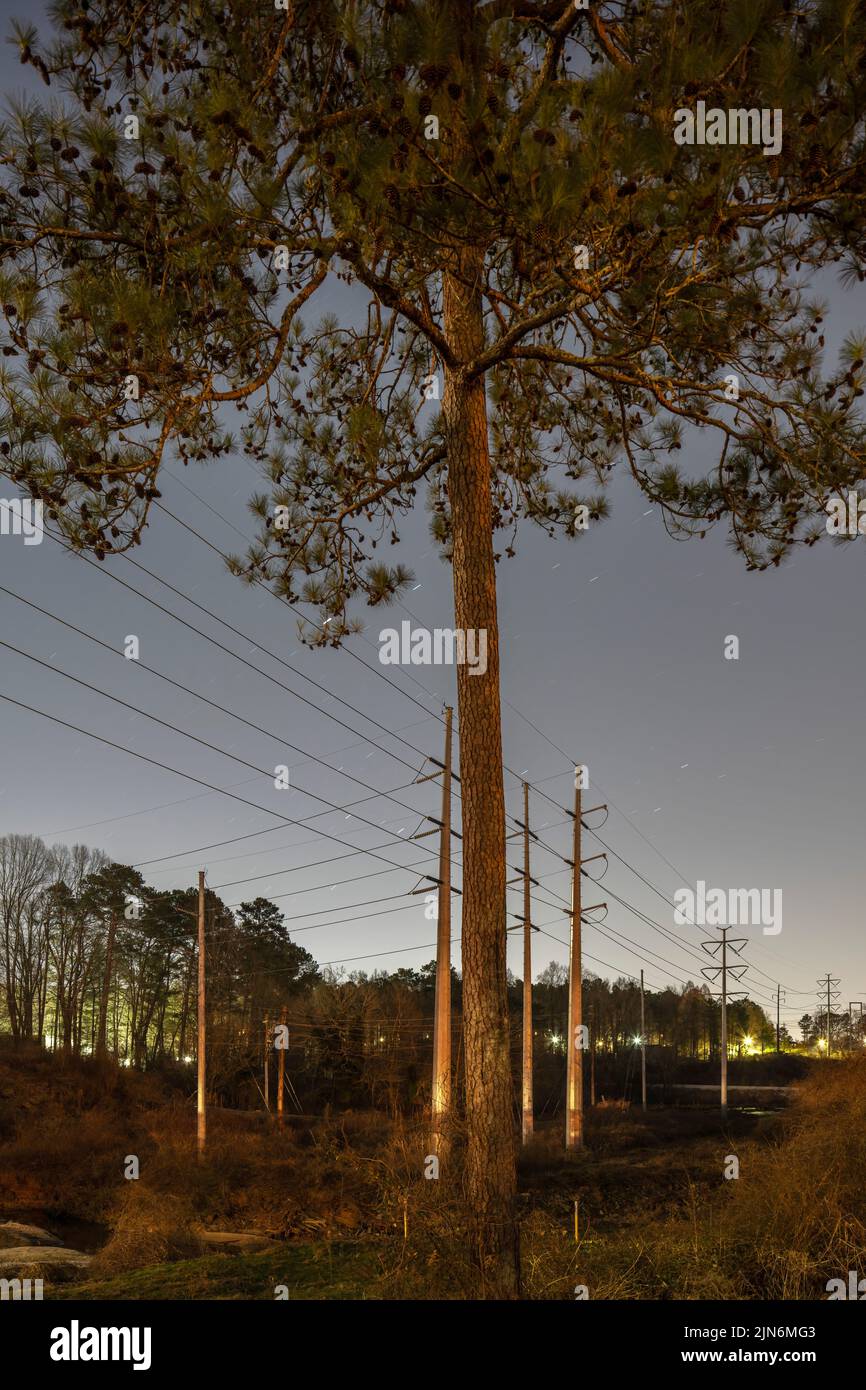 Decatur georgia united states hi-res stock photography and images - Alamy Decatur georgia united states hi-res stock photography and images - Alamy