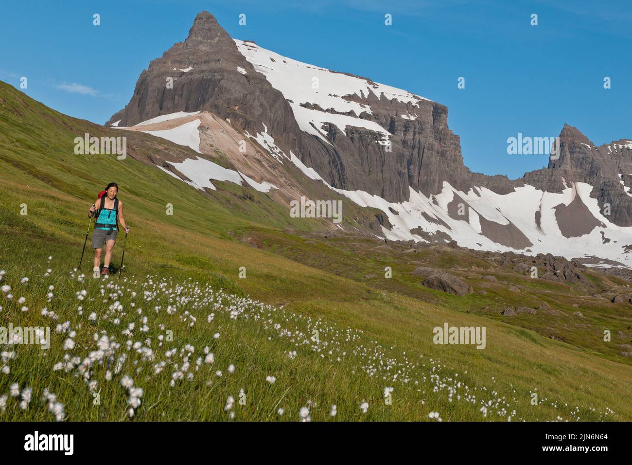 Hiking in the remote eastern fjords of Iceland Stock Photo - Alamy