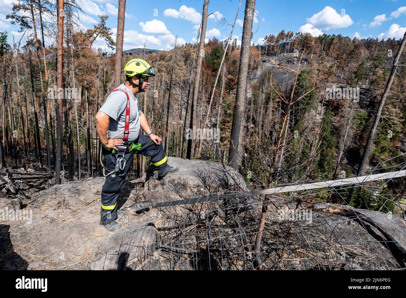 Hrensko, Czech Republic. 09th Aug, 2022. The burnt forests in the Ceske ...