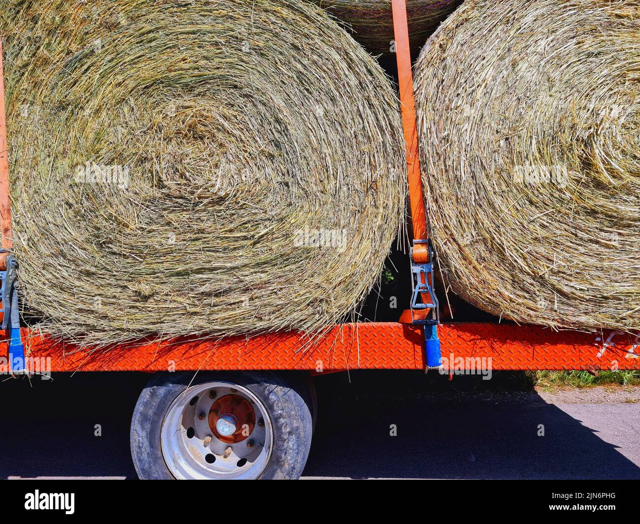 A trailer truck transports round bales of hay Stock Photo - Alamy