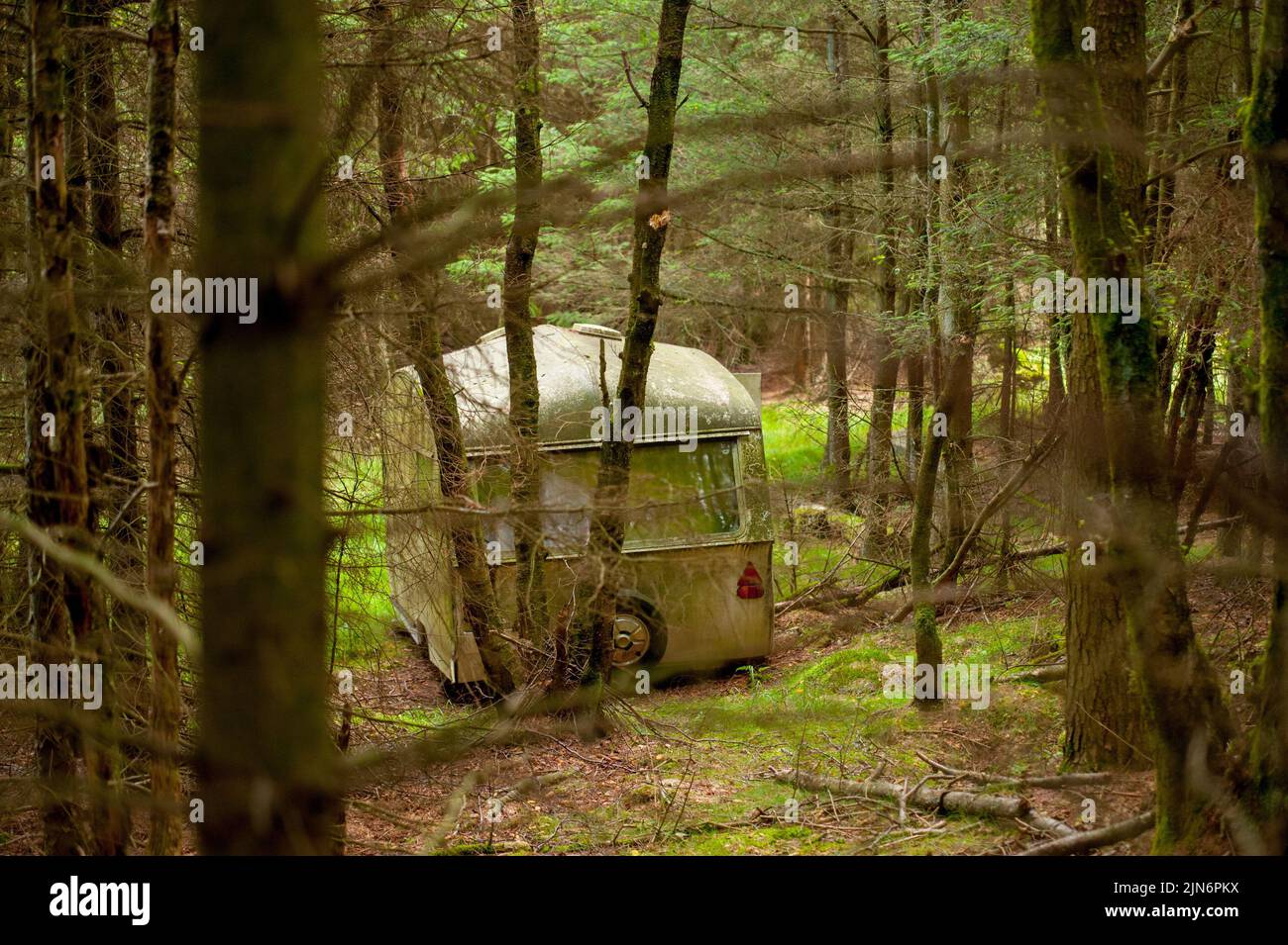 A view of an abandoned caravan in a forest with trees Stock Photo - Alamy
