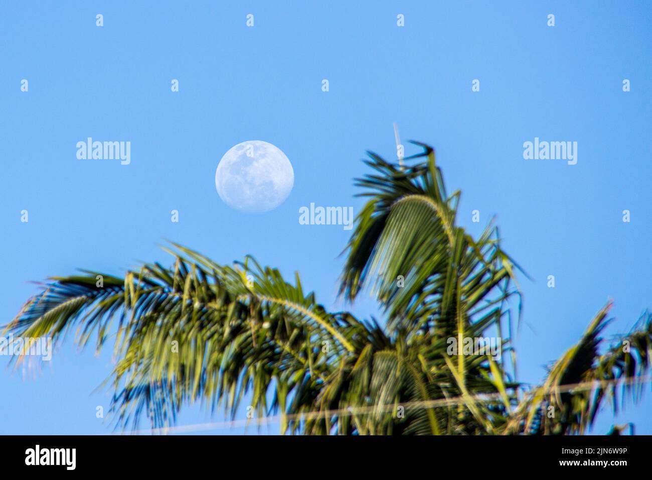 Brazilian full moon Stock Photo - Alamy