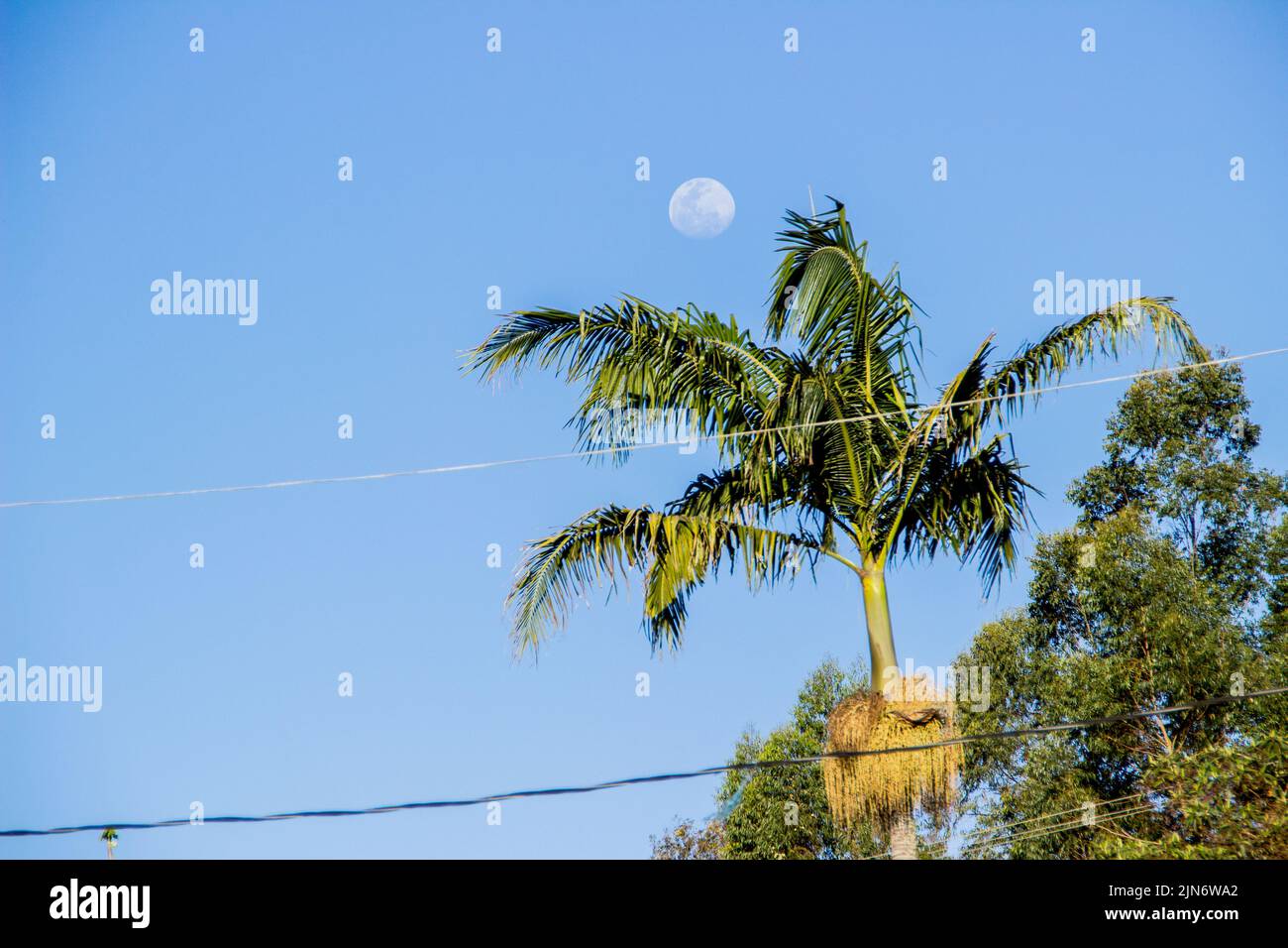 Brazilian full moon Stock Photo - Alamy