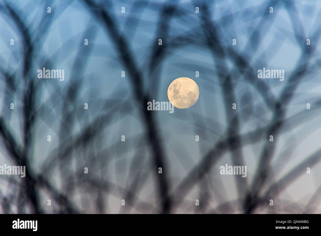Brazilian full moon Stock Photo - Alamy
