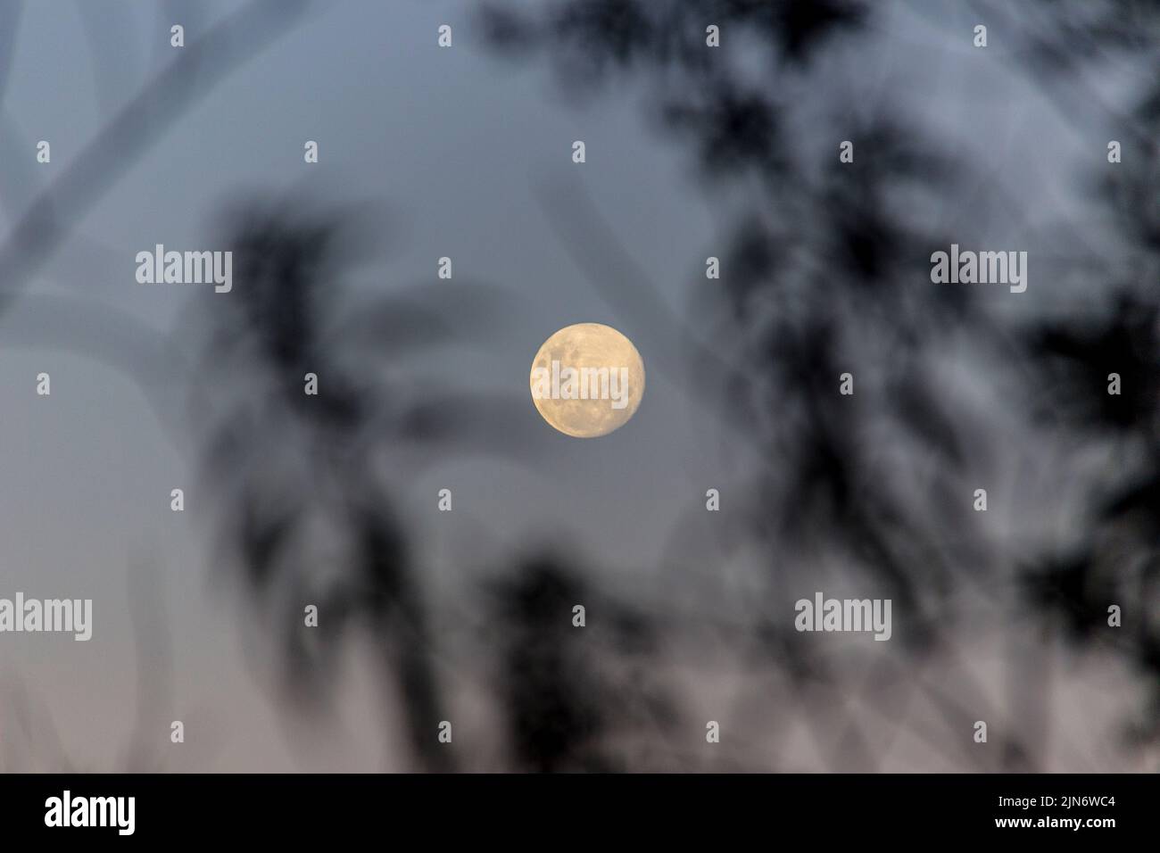 Brazilian full moon Stock Photo - Alamy