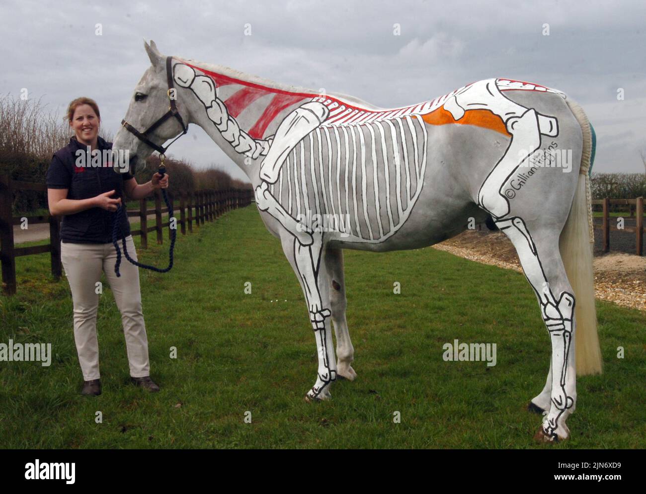 GILLIAN HIGGINS AT SPARSHOLT COLLEGE HAMPSHIRE WITH GYM . HORSE EXPERT ...