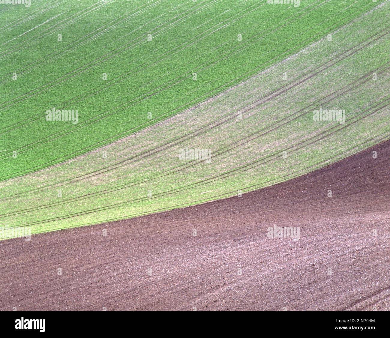 Farming land use, South Downs, Sussex, UK Stock Photo - Alamy