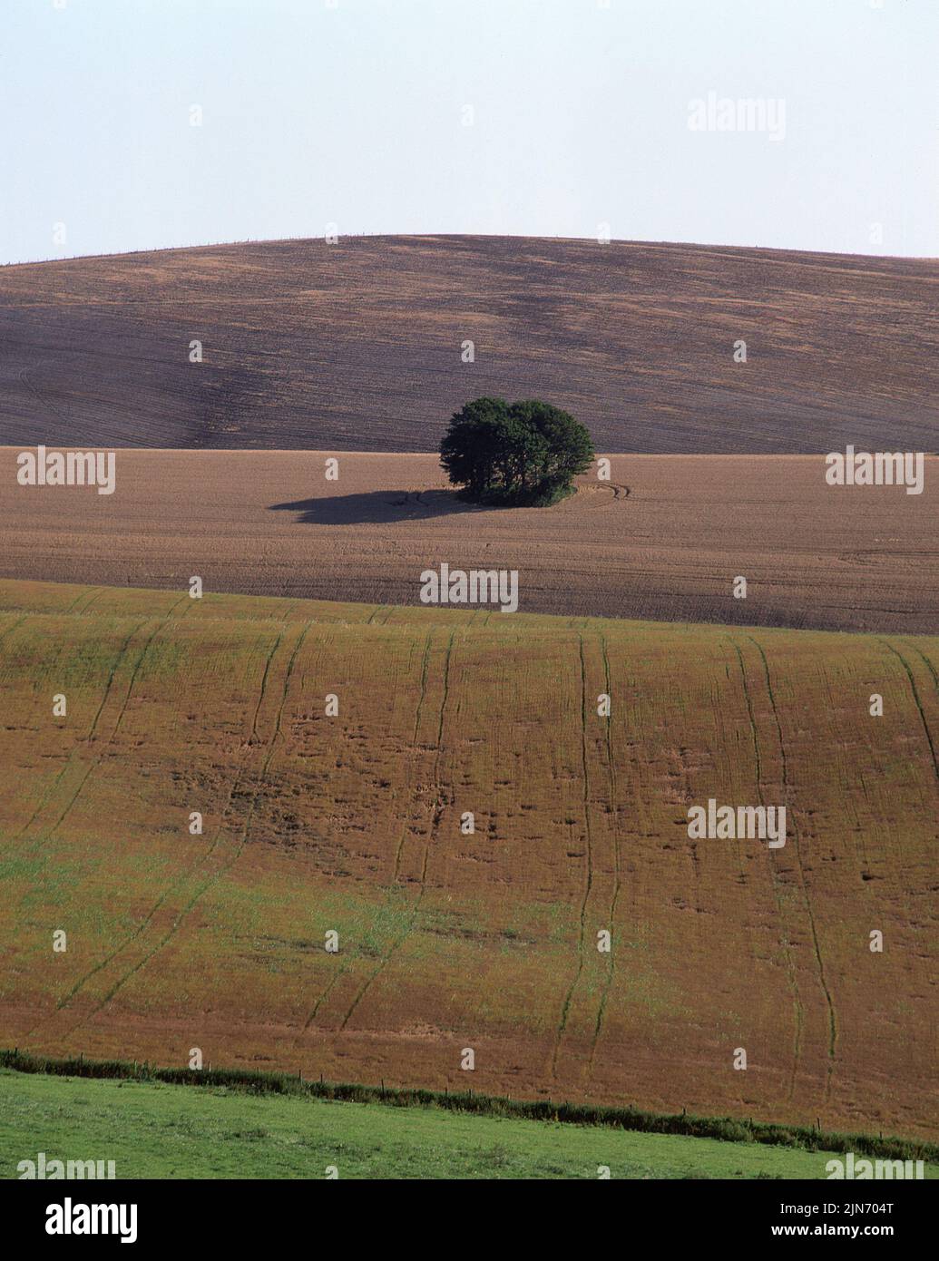 Single copse hi-res stock photography and images - Alamy