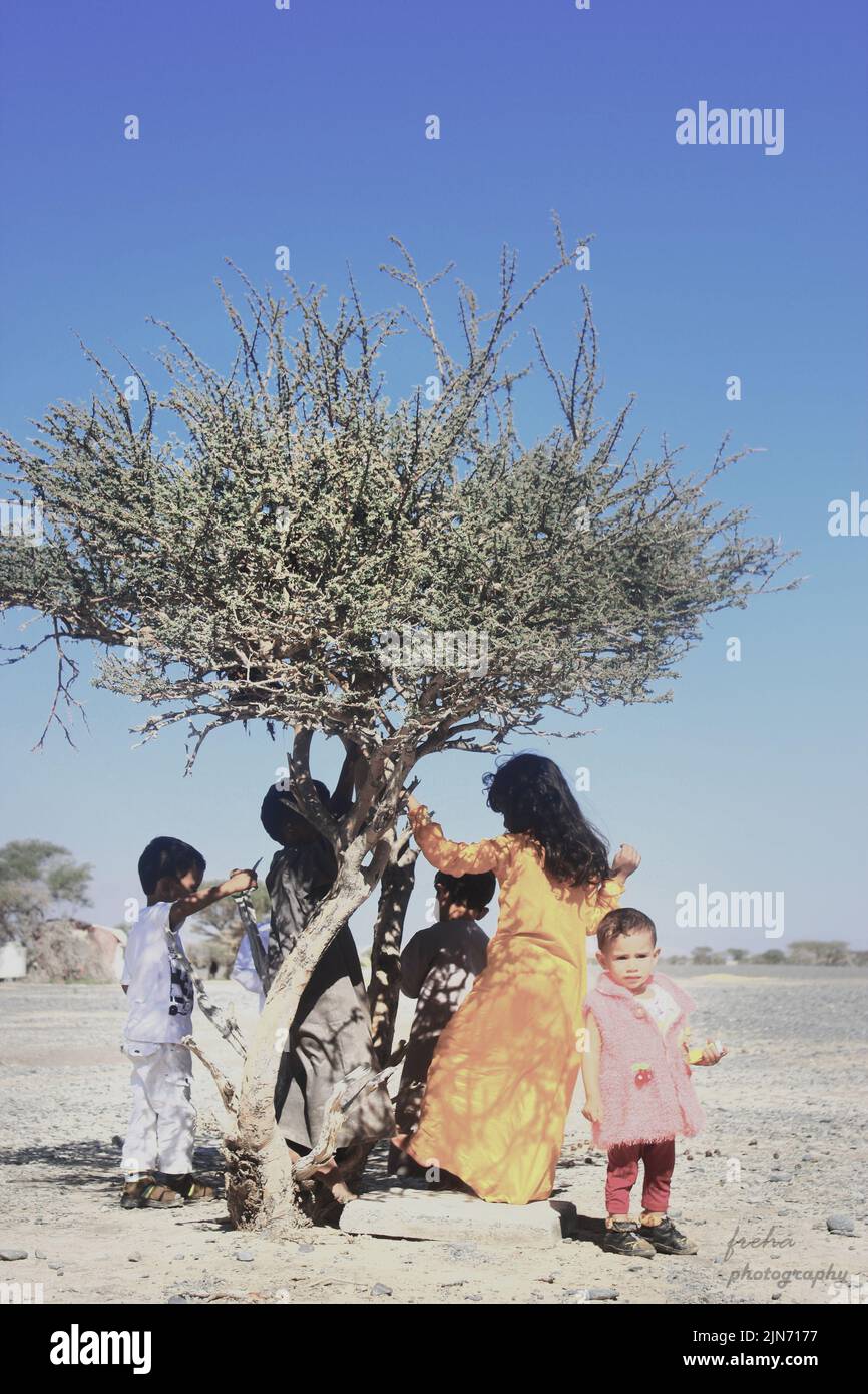 Omani children under a tree Stock Photo - Alamy
