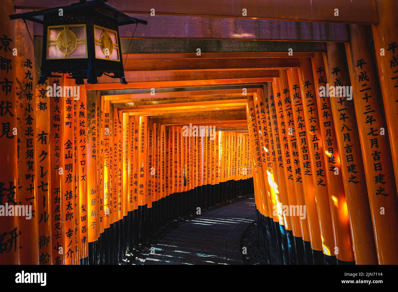 Orange shinto gates hi-res stock photography and images - Alamy