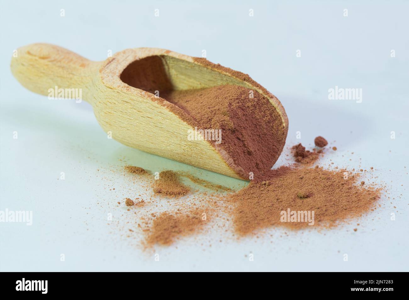 wooden spoon filled with cocoa powder on white background Stock Photo ...
