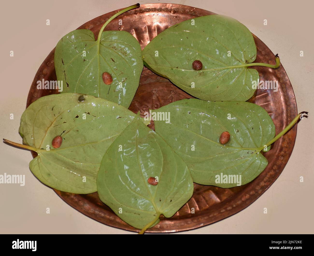 Indian Wedding Ritual - Beetle leaves on a brass plate with betel nut ...