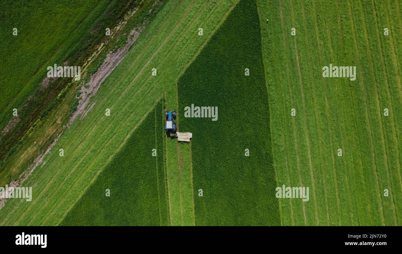 Aerial view of farming tractor mowing green field, animal feed for ...