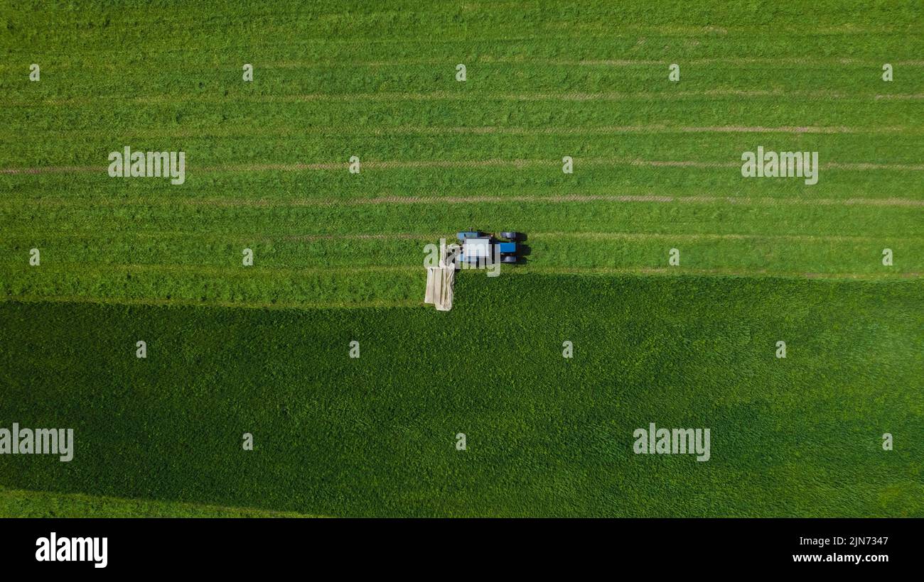 Aerial view of farming tractor mowing green field, animal feed for ...