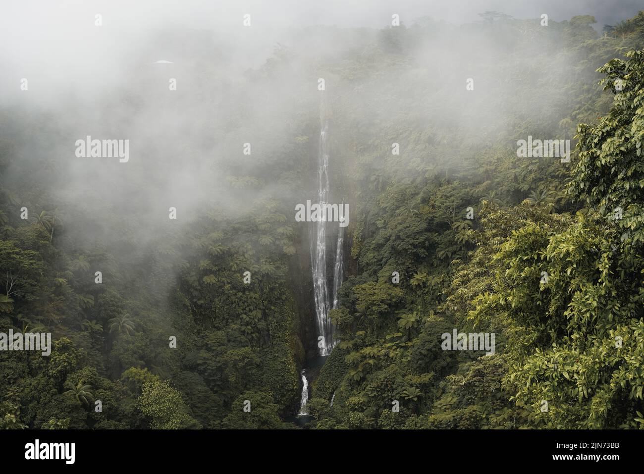 Papapapaitai hi-res stock photography and images - Alamy