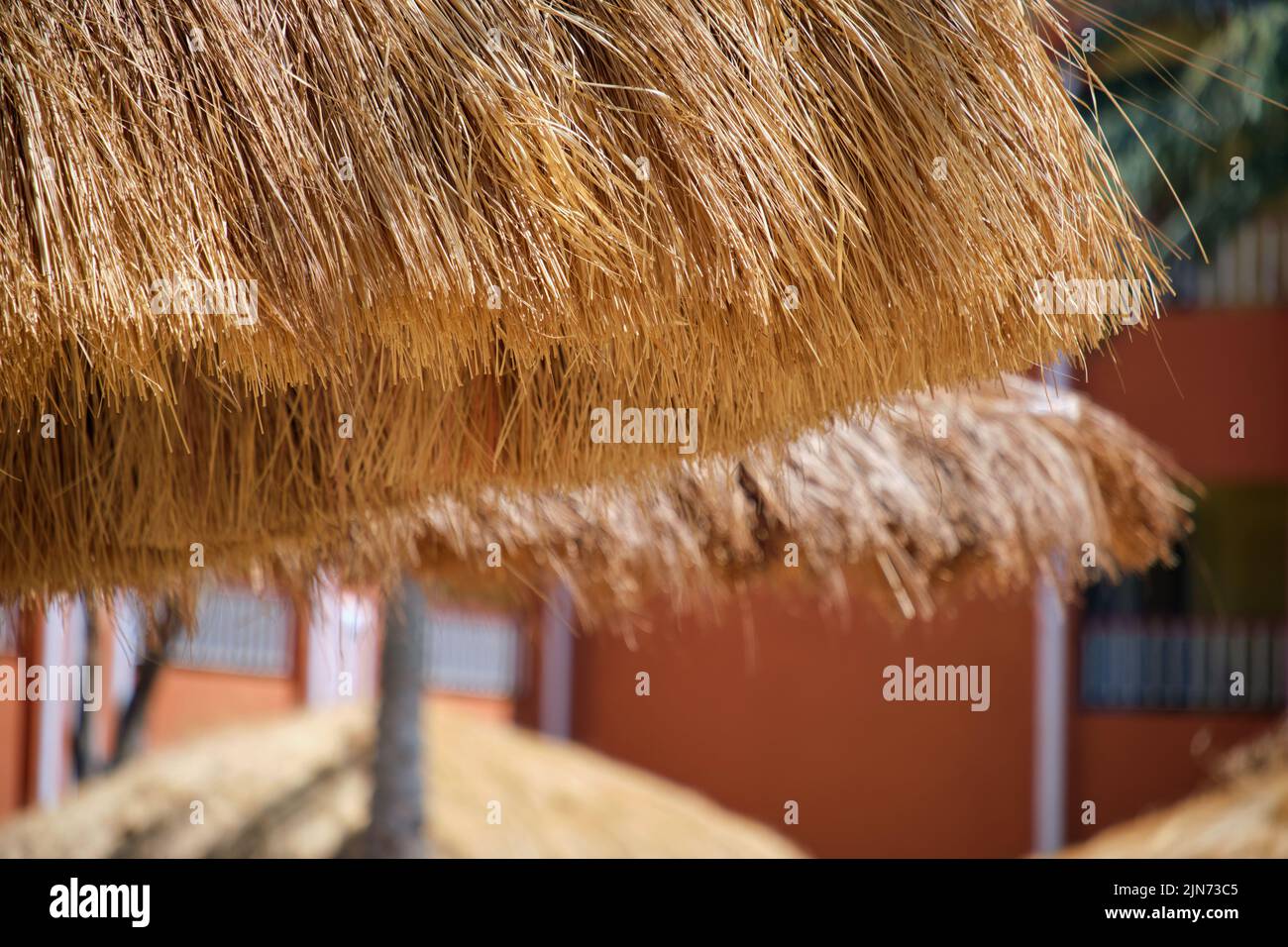 Detail of straw shade umbrellas on seaside in tropical resort. Summer ...