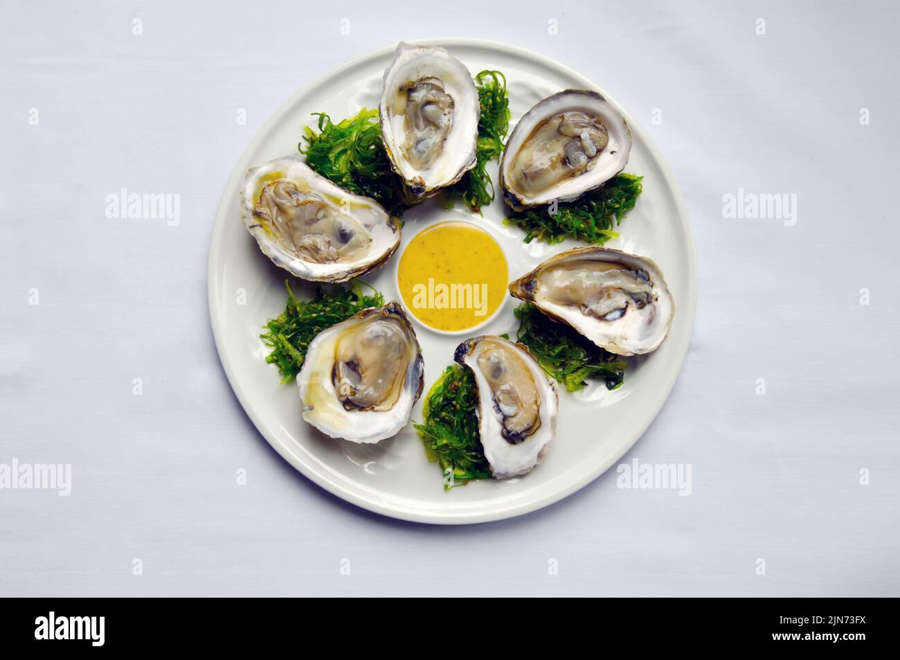 A top view of oysters set with garnish on a white platter Stock Photo ...