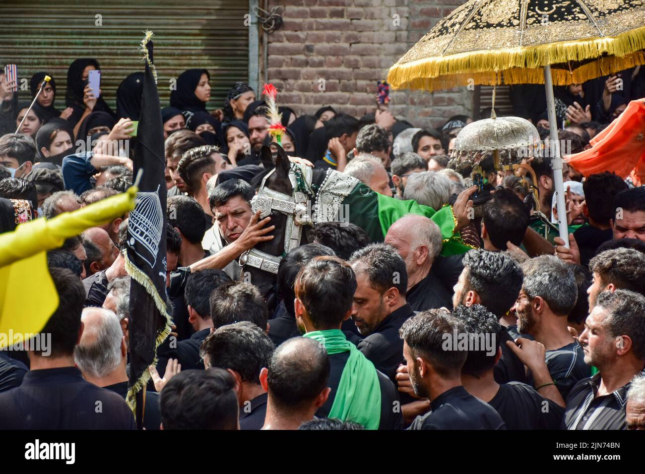 Srinagar, India. 09th Aug, 2022. Kashmiri Shiite Muslims perform ...