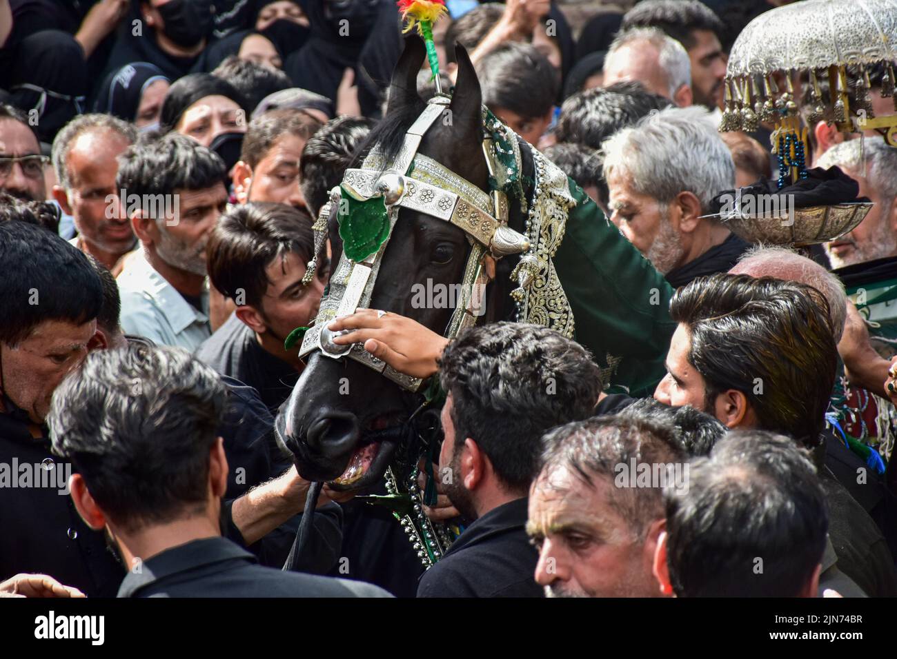 Srinagar, India. 09th Aug, 2022. Kashmiri Shiite Muslims perform ...