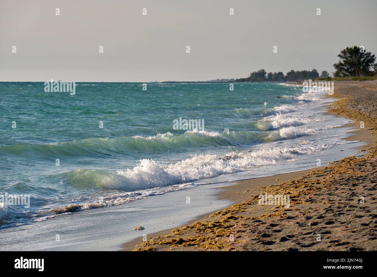 Seaside sand beach with foamy waves crushing on shore Stock Photo - Alamy