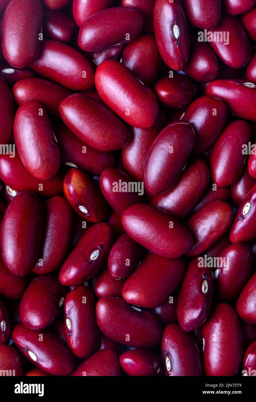 Dried raw red bean, Mexican beans Stock Photo - Alamy
