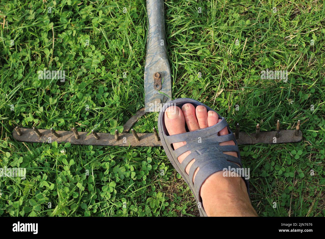 Human foot stepping on a rake Stock Photo - Alamy