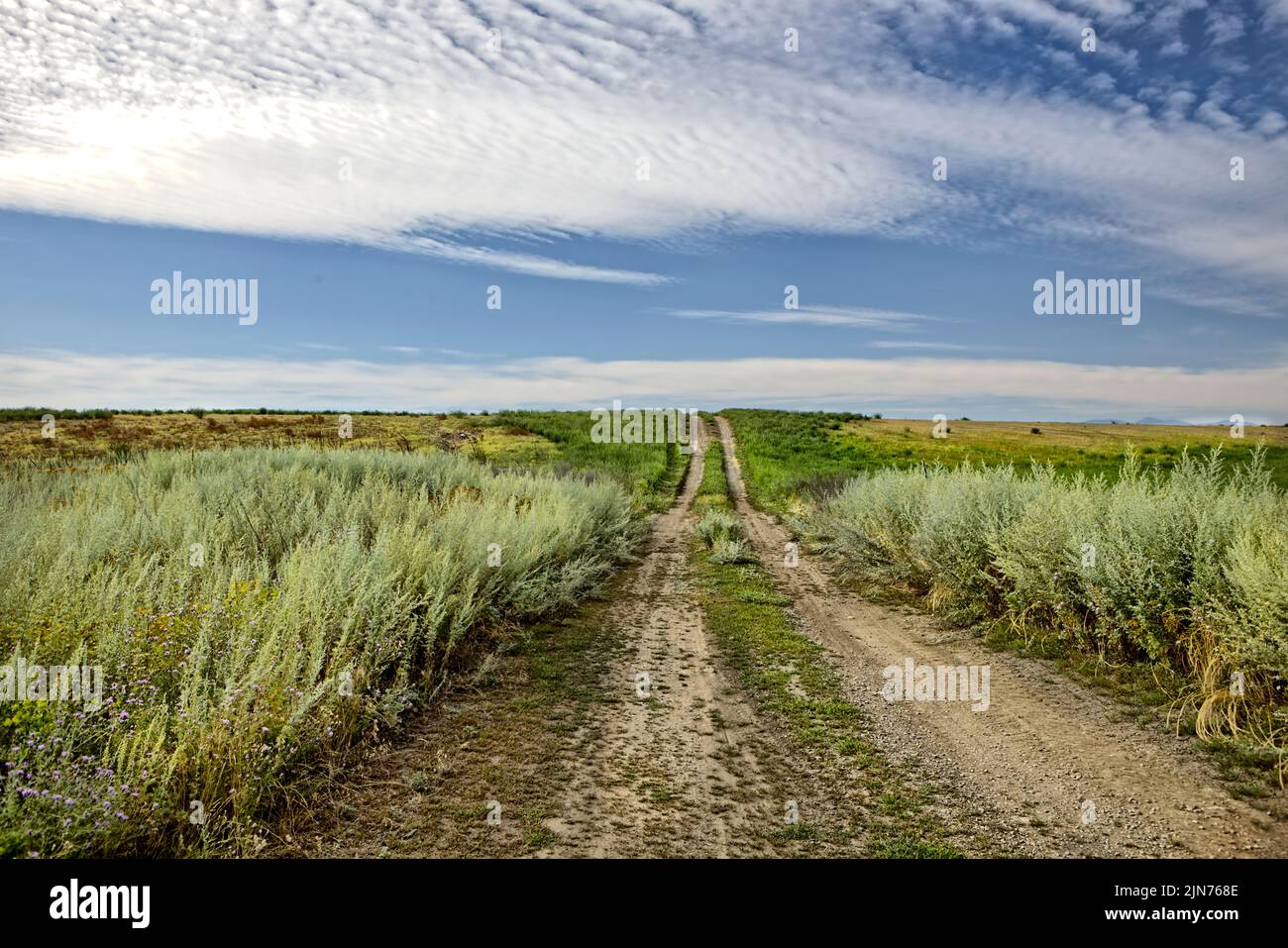 A small dirt road leads into the prairie setting in north Idaho Stock ...