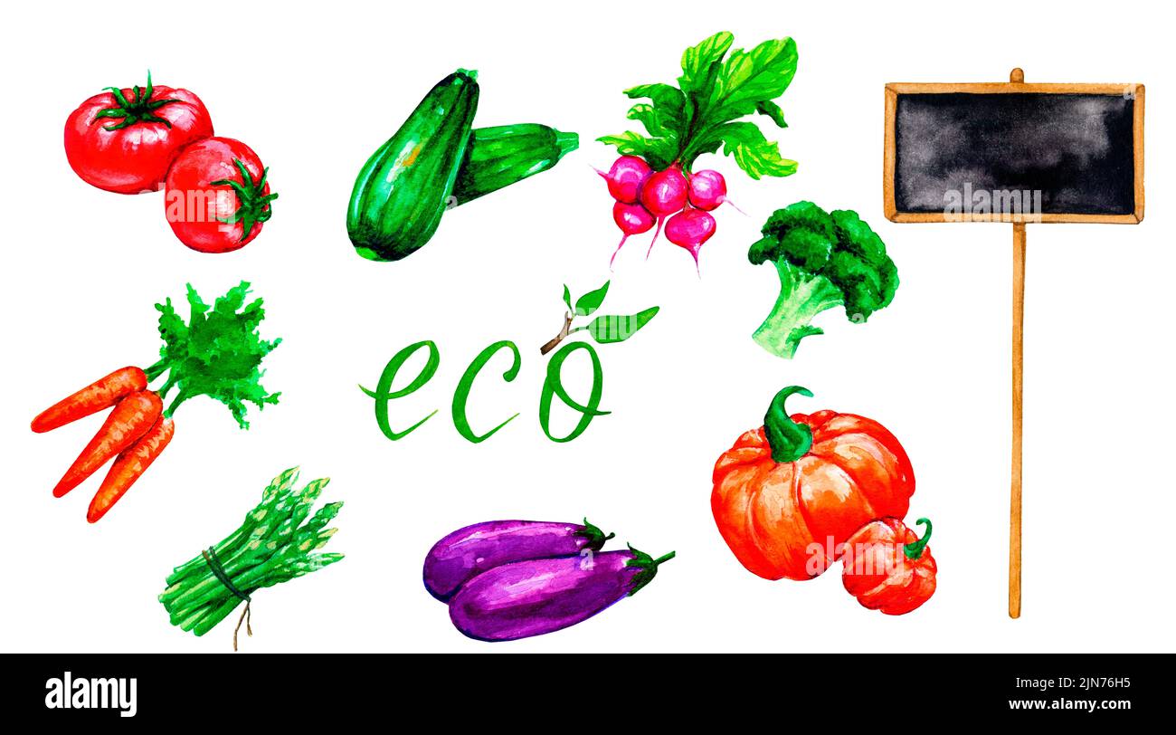 Watercolor set of eco vegetables and chalk plate. Great source of ...