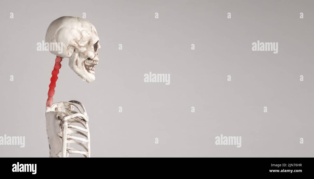 Banner with human skeleton cervical vertebrae with red spot. Neck pain ...
